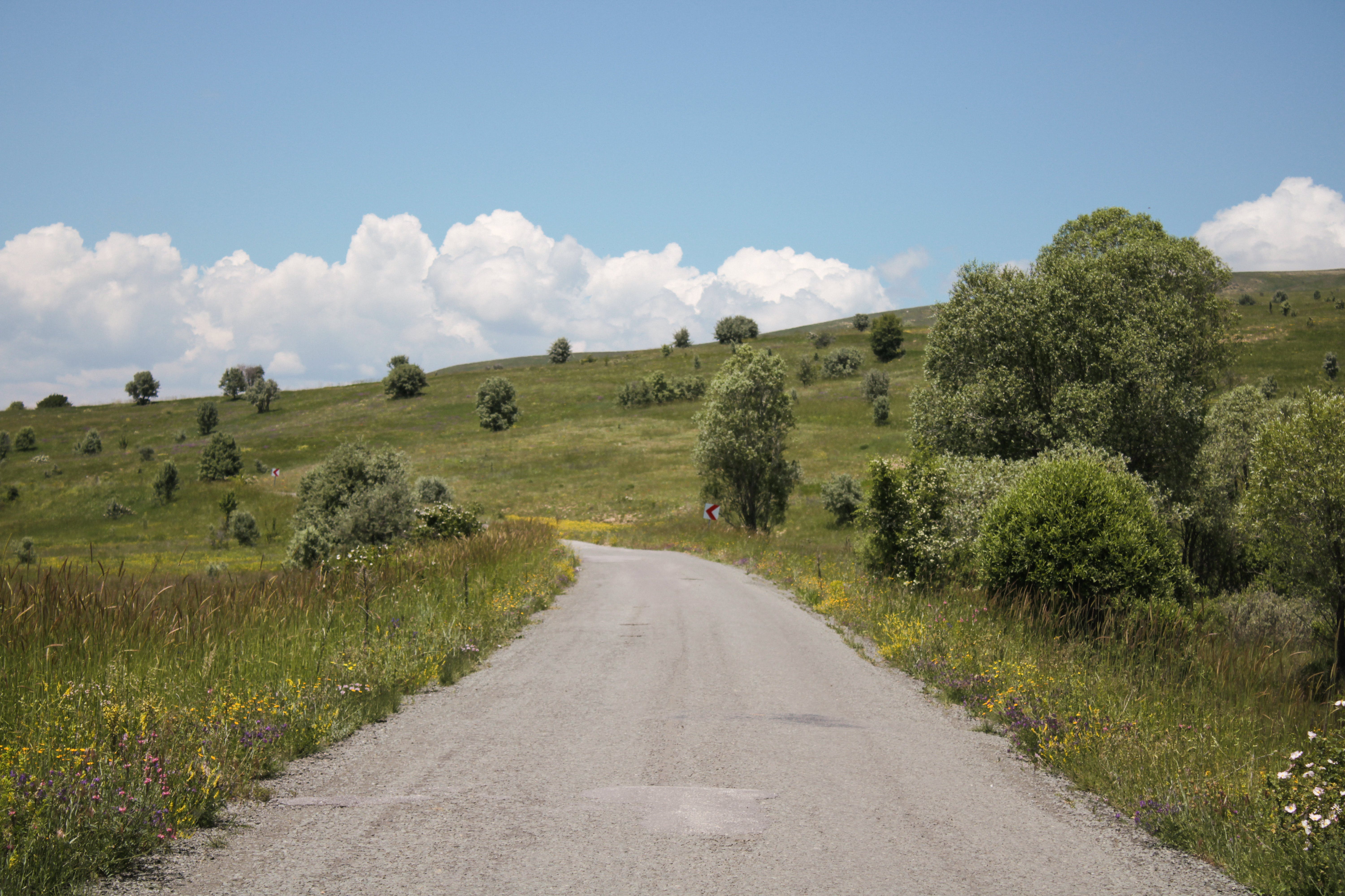 Achieving Carbon Neutral Transport